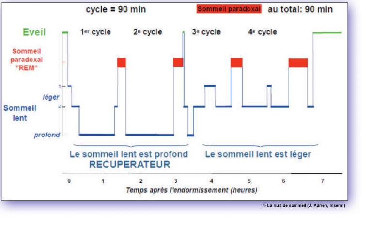 À chacun son sommeil - France Insomnie